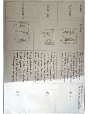 Rheumatoid-arthritis-classification-criteria-tree-format-2010 - 2010 RA ...