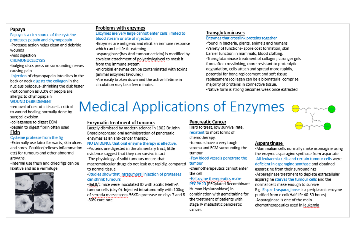Biotechnology posters - BY2BT2 - Studocu