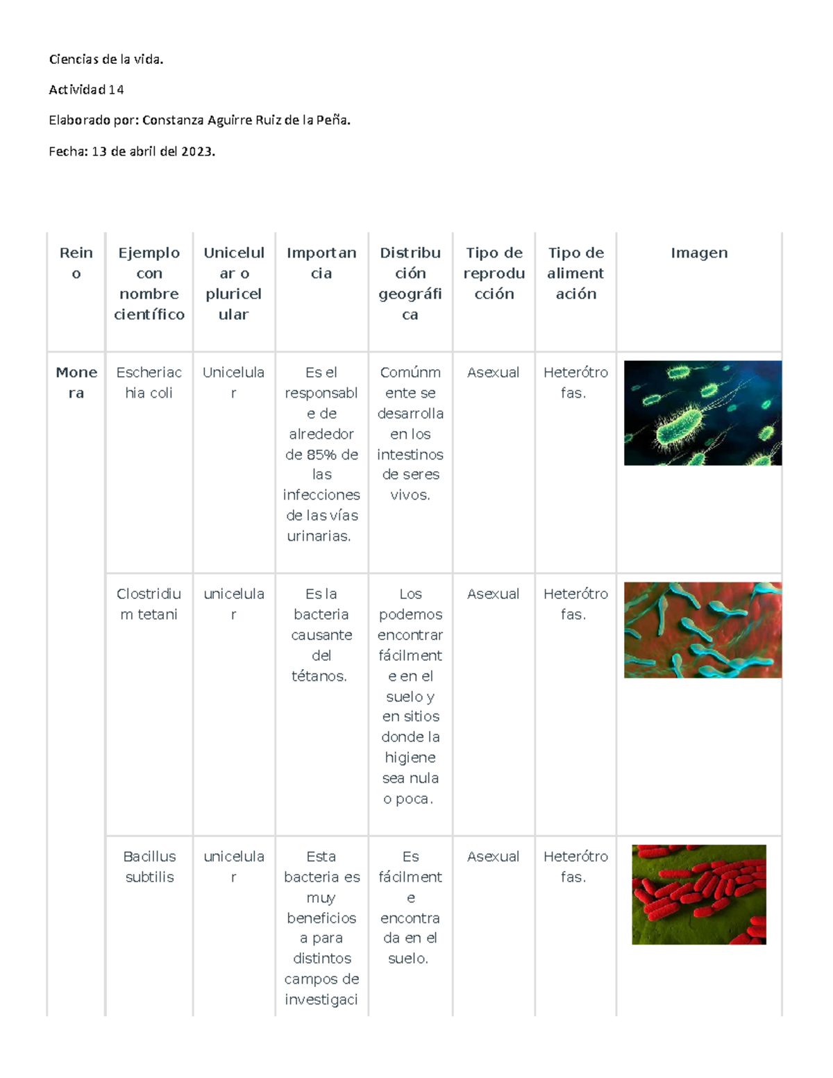 Actividad 14 - nnnn - Ciencias de la vida. Actividad 14 Elaborado por ...