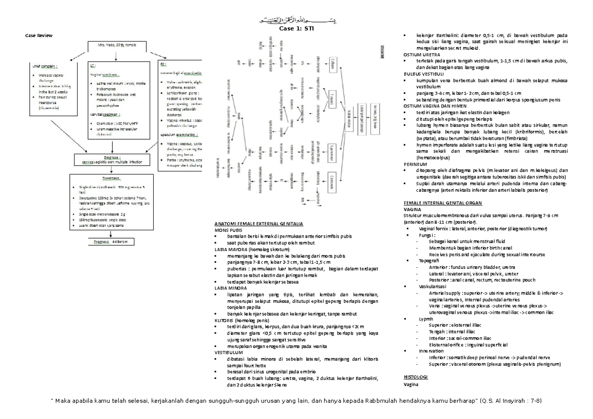262325026-STI - Case Review ANATOMI FEMALE EXTERNAL GENITALIA MONS ...