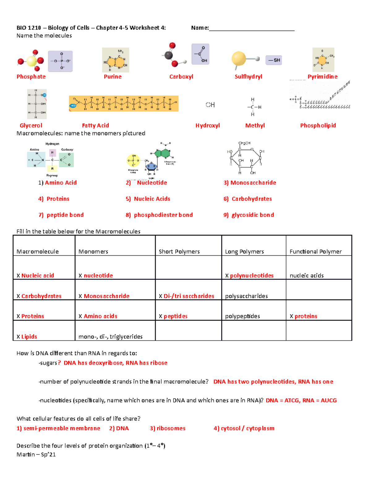 Chapter 4-5 Carbon Macromolecules - BIO 1210 – Biology of Cells ...
