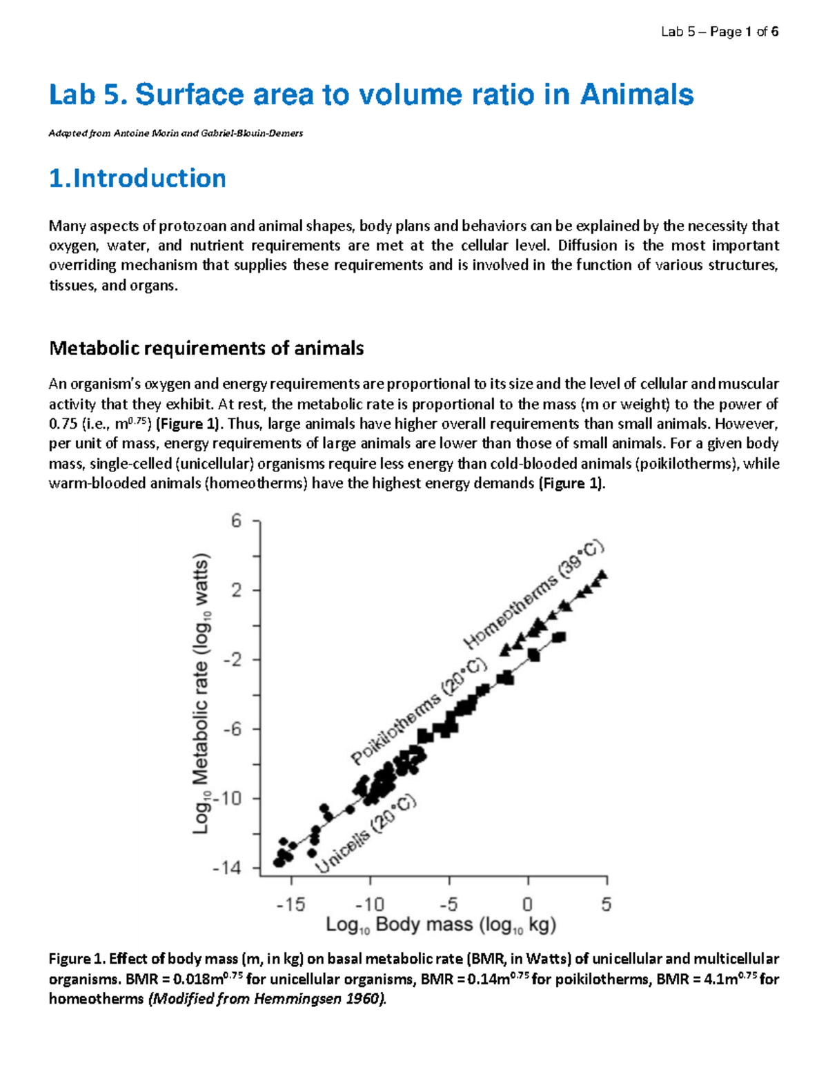 Lab 5 - NOTES - Lab 5. Surface area to volume ratio in Animals Adapted ...