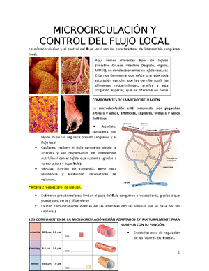 Fisiología: Excitabilidad Cardiaca y ECG - EXCITABILIDAD CARDIACA Y ECG ...