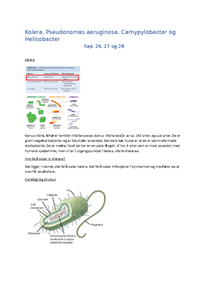 Mikrobiologi- forelesnings notater - Genus bacillus Felles for alle bakterien er evnen til å ...