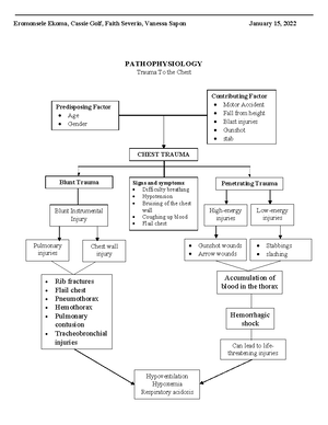 Postpartum Concept map OB - Course/Section ...