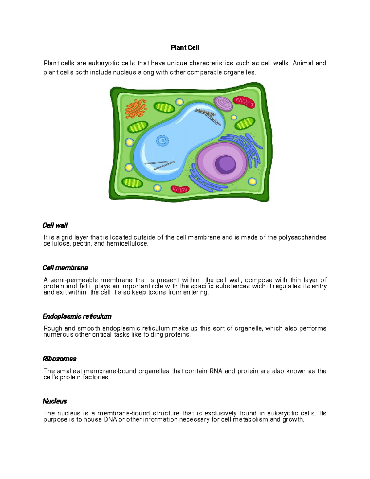 Plant-WPS Office - Science lecture notes - PlantCell Plant cells are ...