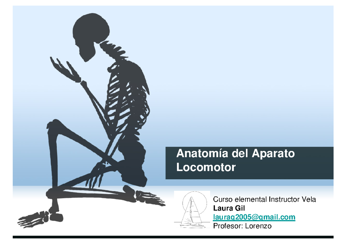 Presentacindefinitivabajares-120311125510-phpapp 02 - Anatomía del ...