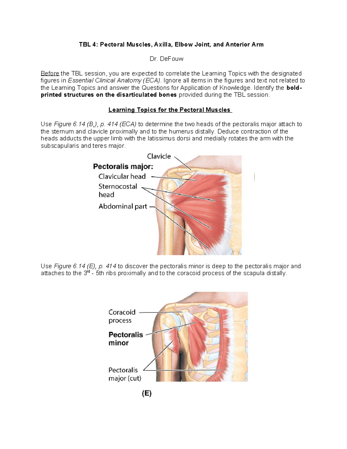 TBL 4 Pectoral Muscles, Axilla, Elbow Joint, Anterior Arm - TBL 4 ...