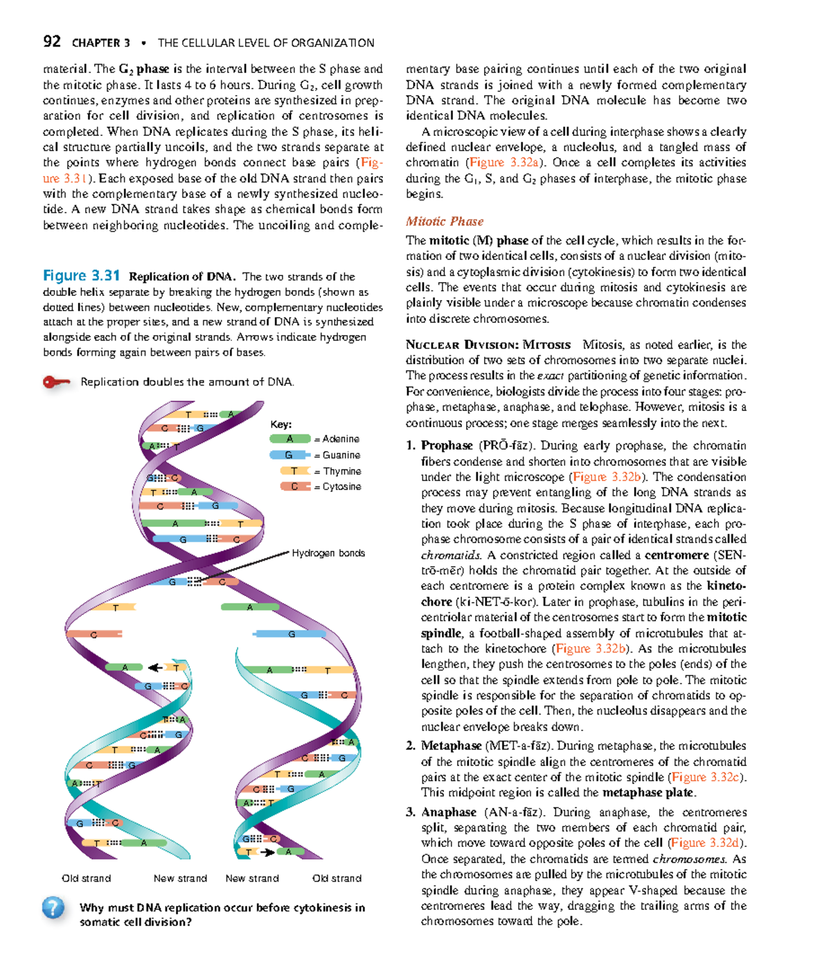 Anatomyand Physiology-42 - 92 CHAPTER 3 • THE CELLULAR LEVEL OF ...