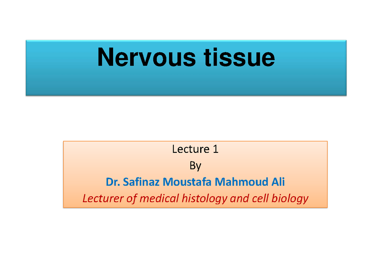 10-nervous tissue lecture 1 - Nervous tissue Lecture 1 By Dr. Safinaz ...
