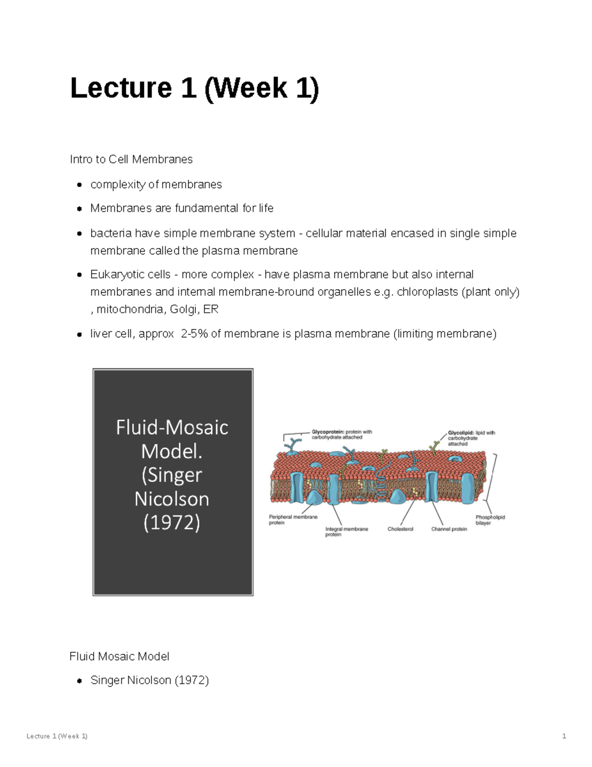 Lecture 1 - Lecture 1 (Week 1) Intro to Cell Membranes complexity of membranes Membranes are ...