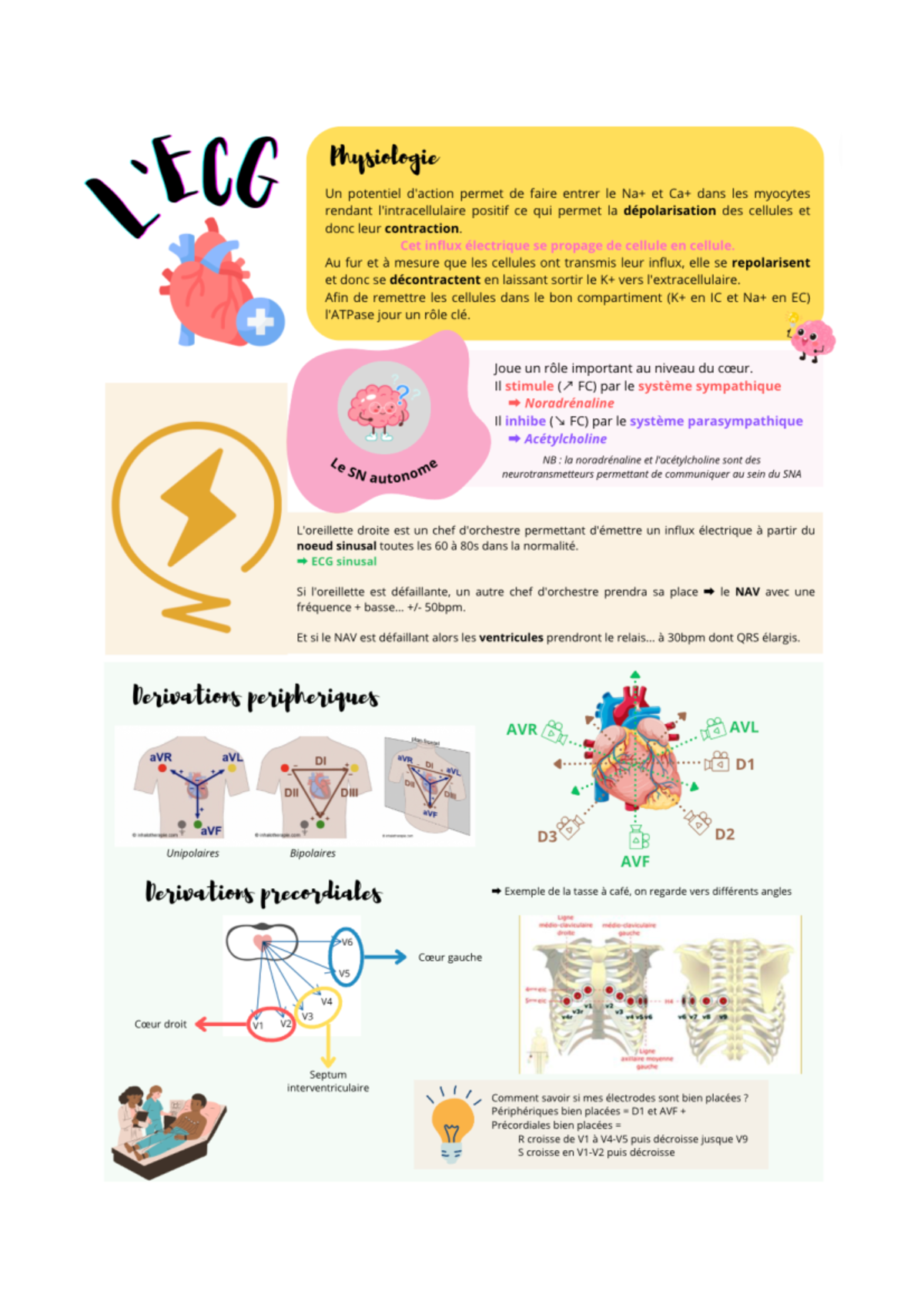 Fiche ECG - analyse d'un ECG - A n a l y s e A n a l y s e A n a l y s ...