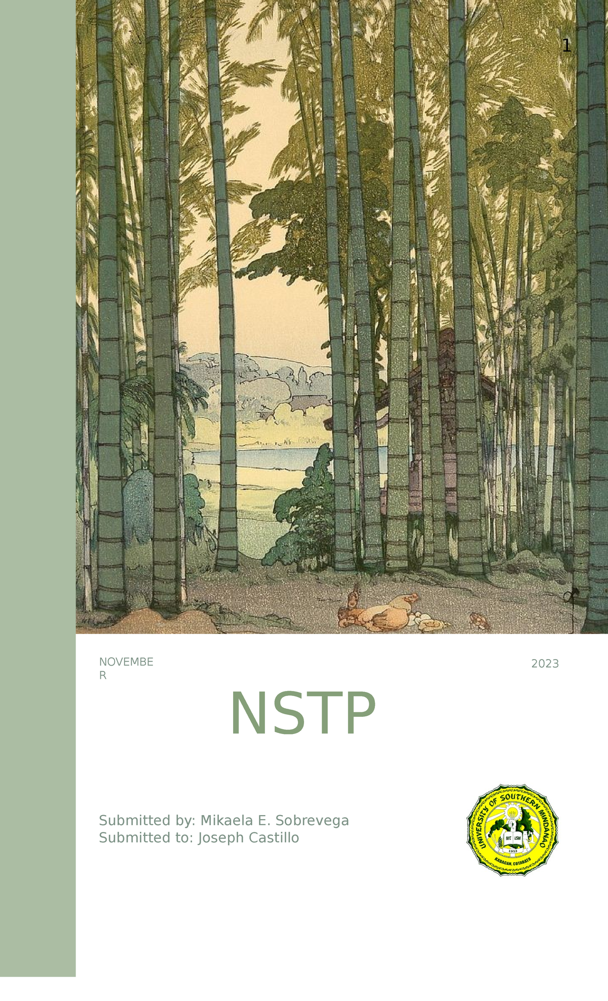 Portfolio - NSTP Submitted by: Mikaela E. Sobrevega Submitted to ...