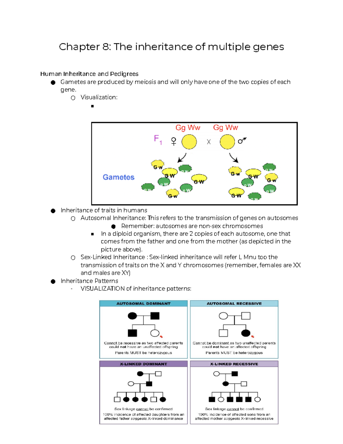 The Inheritance of Multiple Genes - Chapter 8: The inheritance of ...