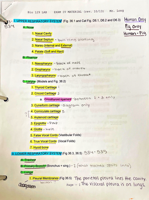 LAB EXAM 2-bones - ANATOMY LAB TEST PRACTICE. - BIOL 161 - Studocu
