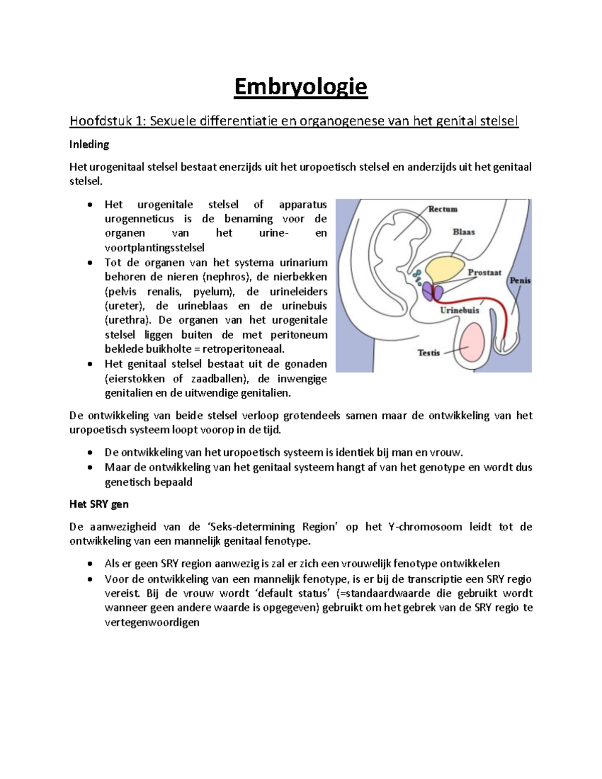 Embryologie Samenvatting - Warning: TT: undefined function: 22 Warning: TT: undefined function ...