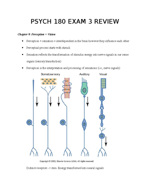 Psych Exam 4 Guide - exam 4 - Chapter 11: Motor System and Behavior ...