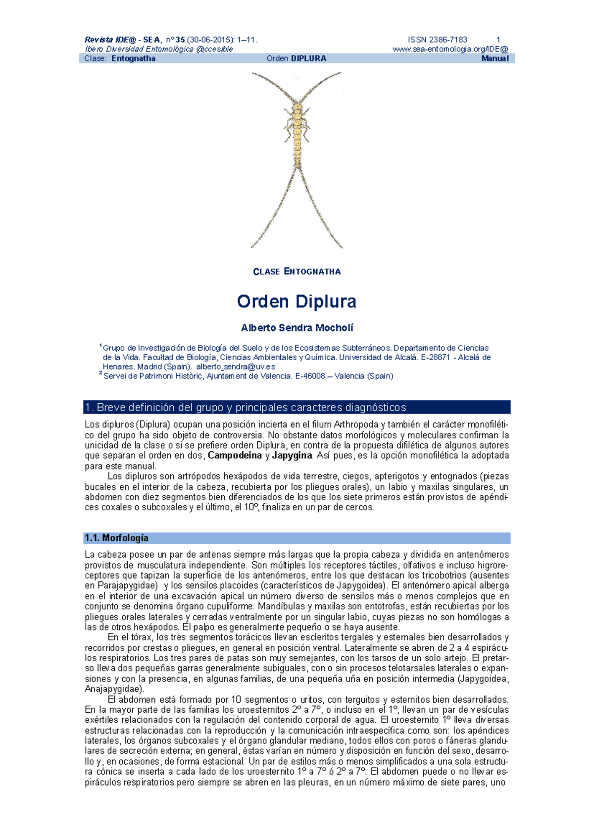 Dipluros - Artículo - Ibero Diversidad Entomológica @ccesible sea ...
