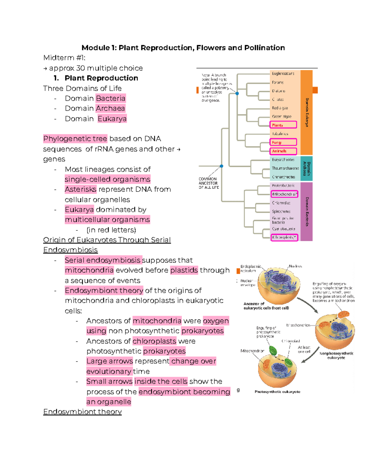 Module 1 Plant Reproduction, Flowers and Pollination - Module 1: Plant ...