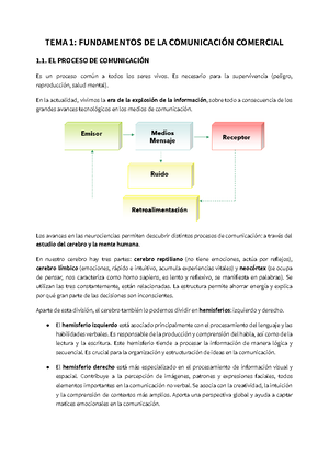 Buyer persona (ejemplos) - Comunicación Comercial - Studocu