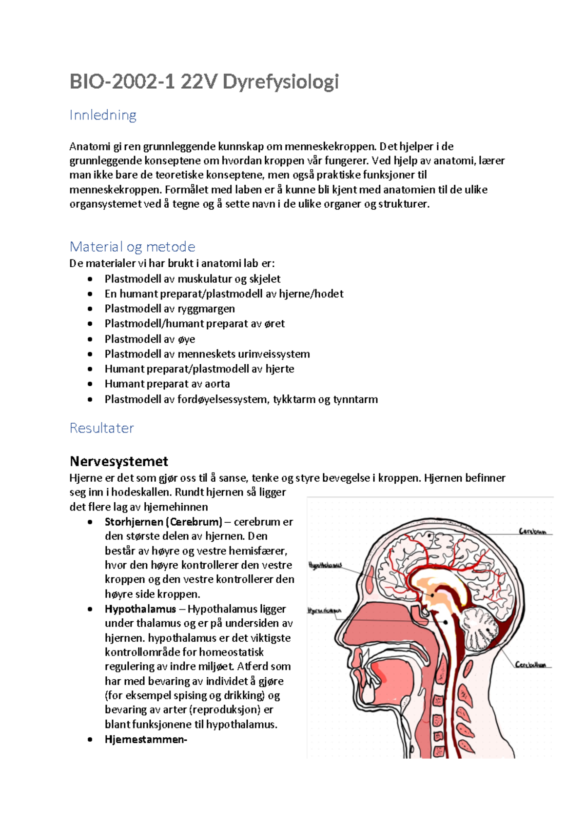 Rapport dyrefysiologi - BIO-2017-1 Økologi - Studocu