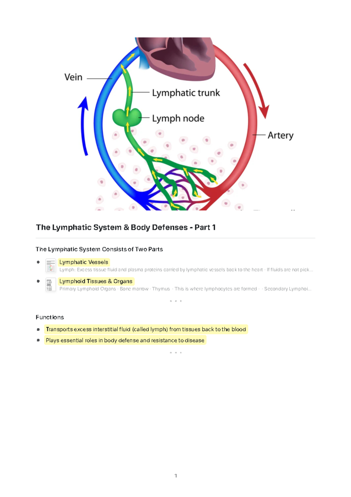 Chapter 5 - Part 1 - The Lymphatic System and Body Defenses - The ...