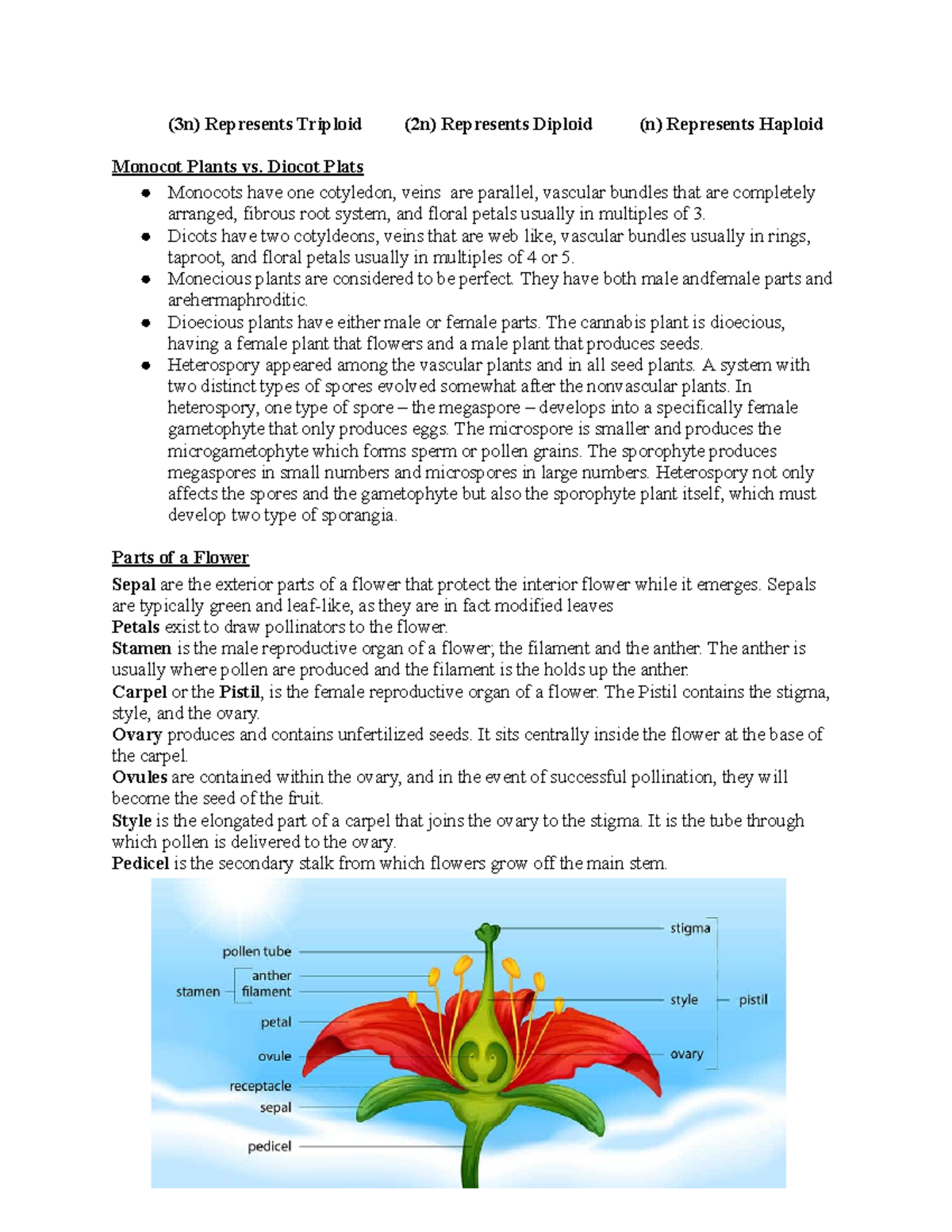 BIOL-106 Plants - (3n) Represents Triploid (2n) Represents Diploid (n ...