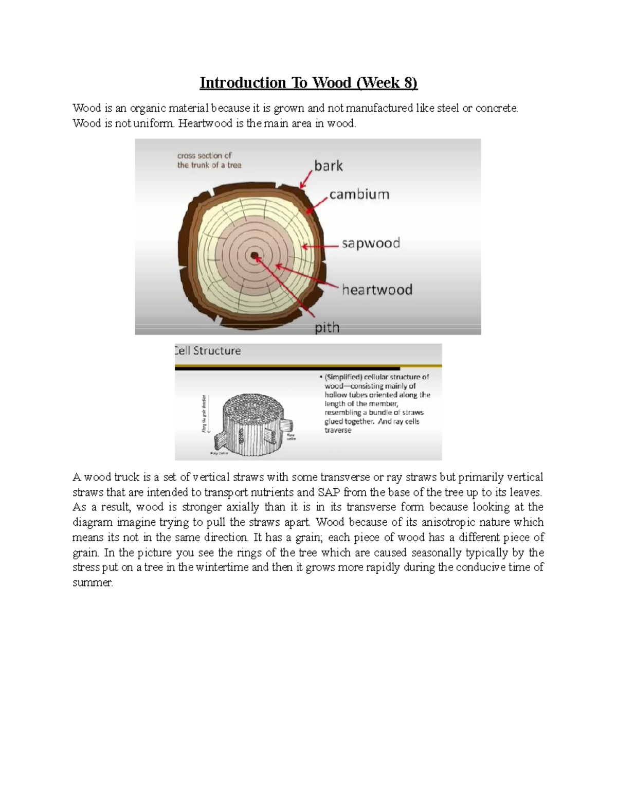 Introduction To Wood - Wood is not uniform. Heartwood is the main area ...