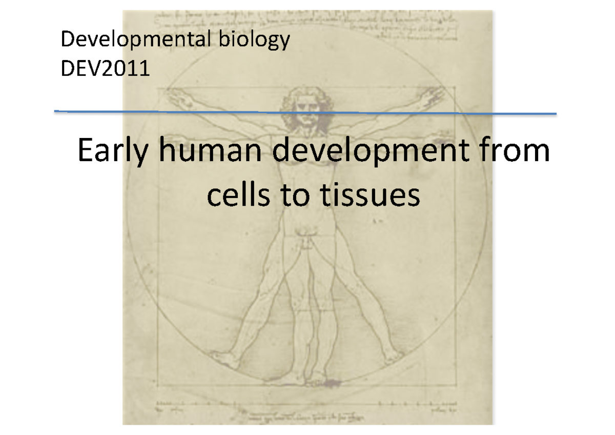 Lecture Introduction - Developmental biology DEV Early human ...