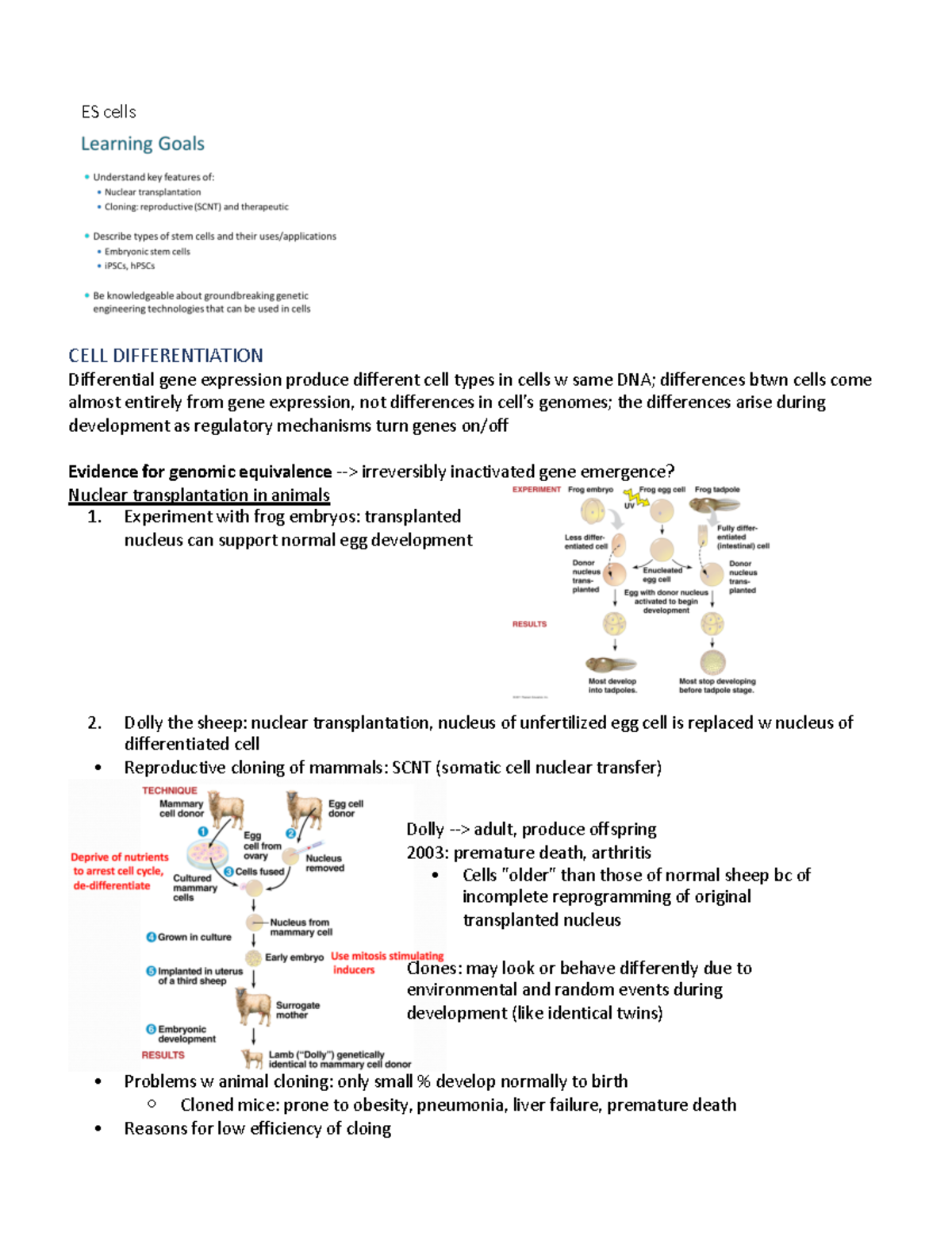 BIOL 216 Lecture Notes ES cells - CELL DIFFERENTIATION Differential ...