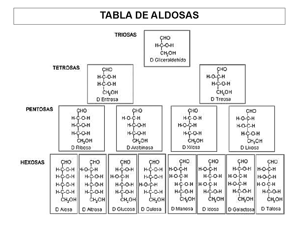 Tabla DE Aldosas Y Centosas - TABLA DE ALDOSAS TRIOSAS CHO CH2OH D ...