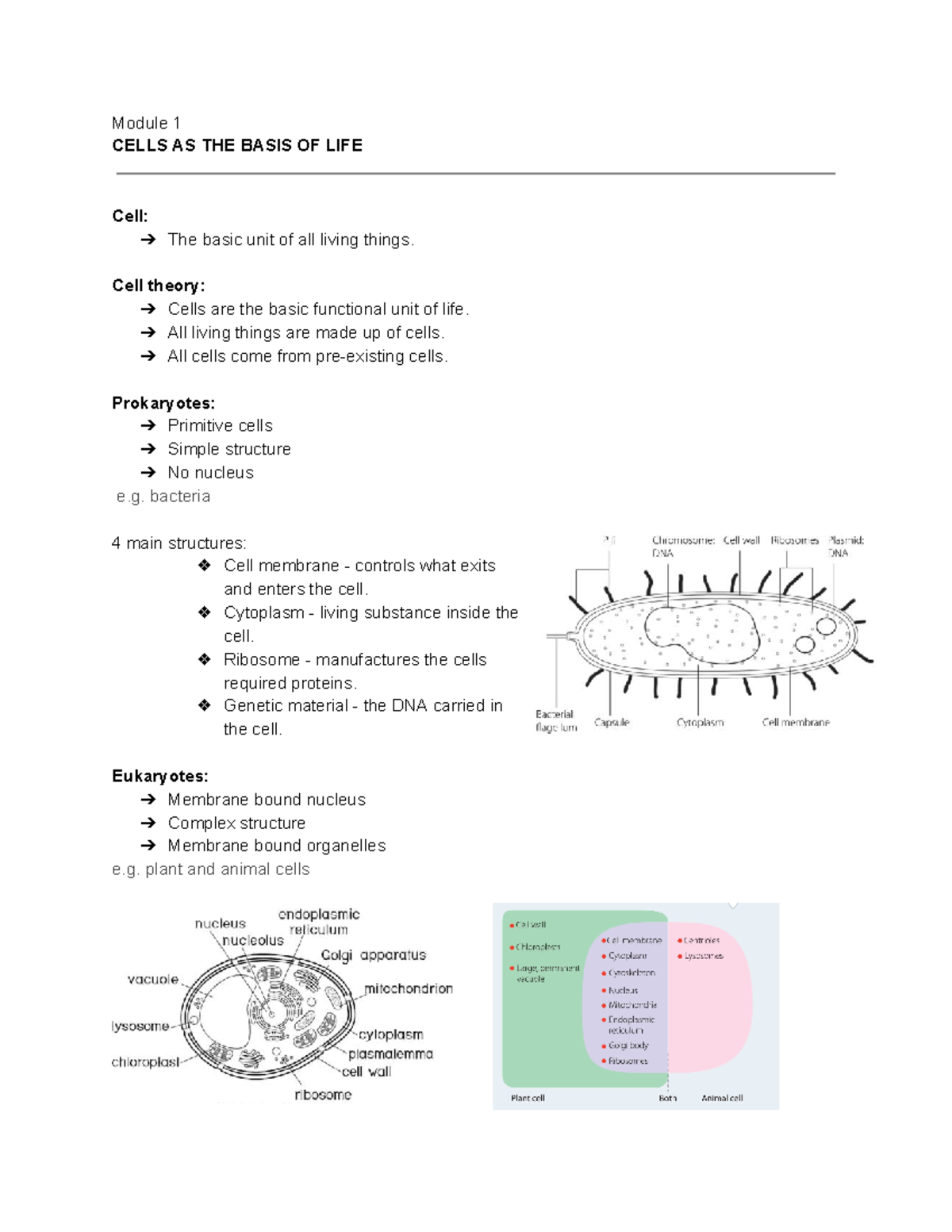biology - cells as the basis of life (module one) - Module 1 CELLS AS ...
