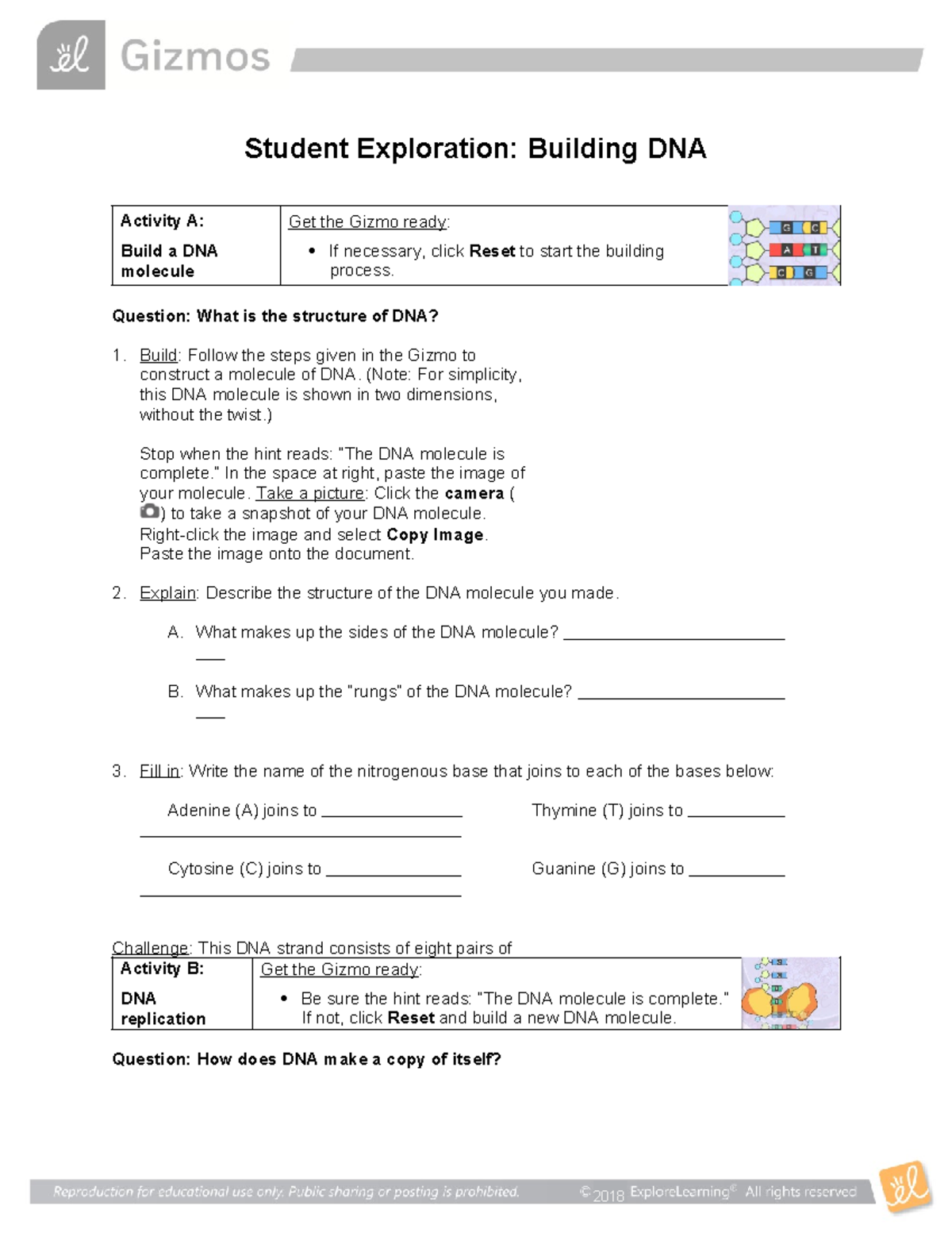 TGA Gizmo Building DNA - daawdawd - 2018 Student Exploration: Building ...