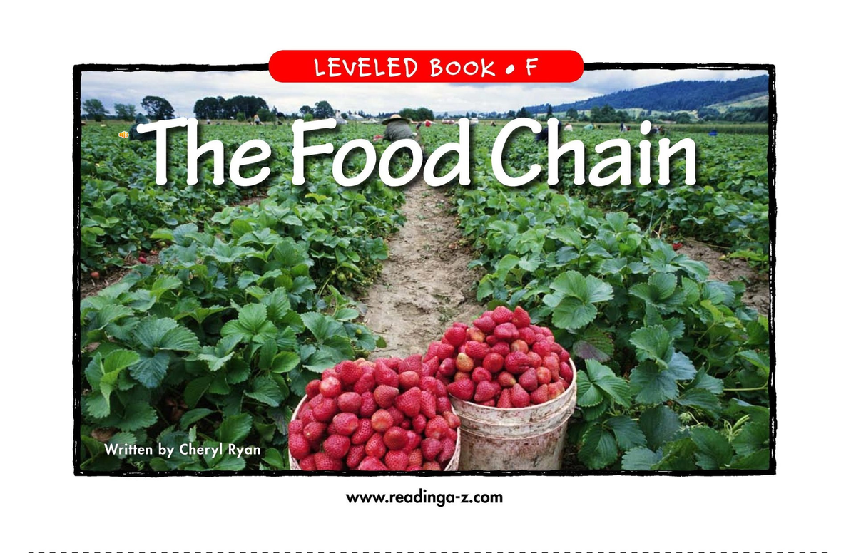 The Food Chain - asdfasdfasdf - LEVELED BOOK F The Food Chain Written ...