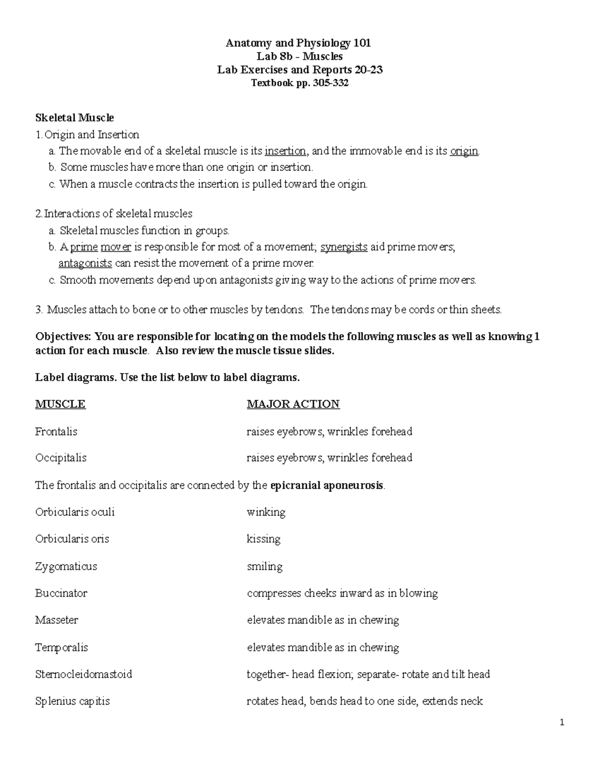 101-Lab-08b-muscular-system - Anatomy and Physiology 101 Lab 8b ...