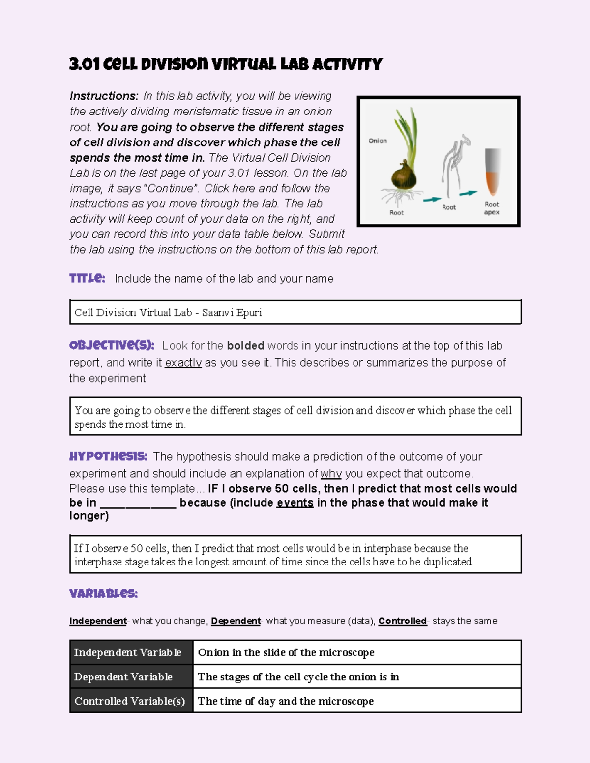 biology report 301 - 3 Cell Division Virtual Lab Activity Instructions ...