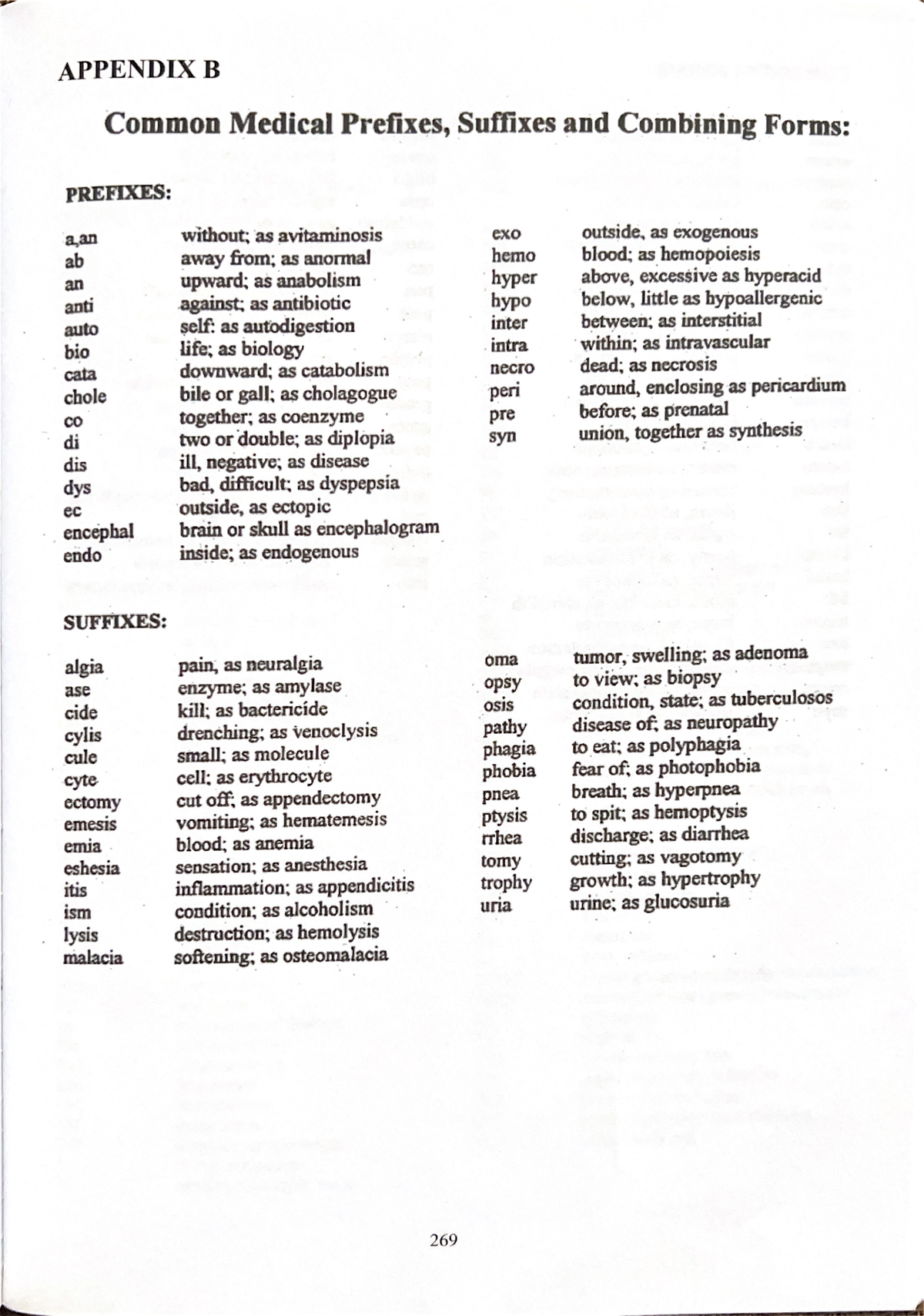 Prefixes - PRefixex and where and how to use them - Diploma in ...