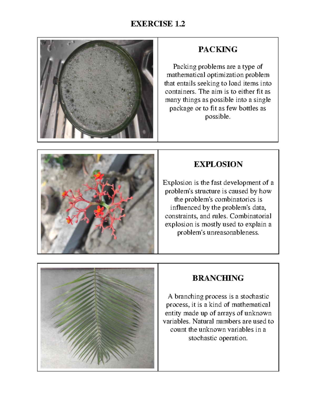 Pastor, RHEA Pearl Exercise 1 - EXERCISE 1. PACKING Packing problems ...