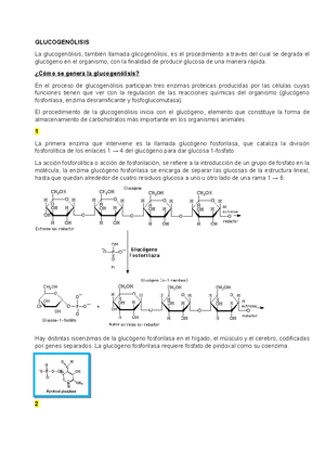 Aldosterona bioquimica doyd - UNIVERSIDAD DE CUENCA FACULTAD DE ...