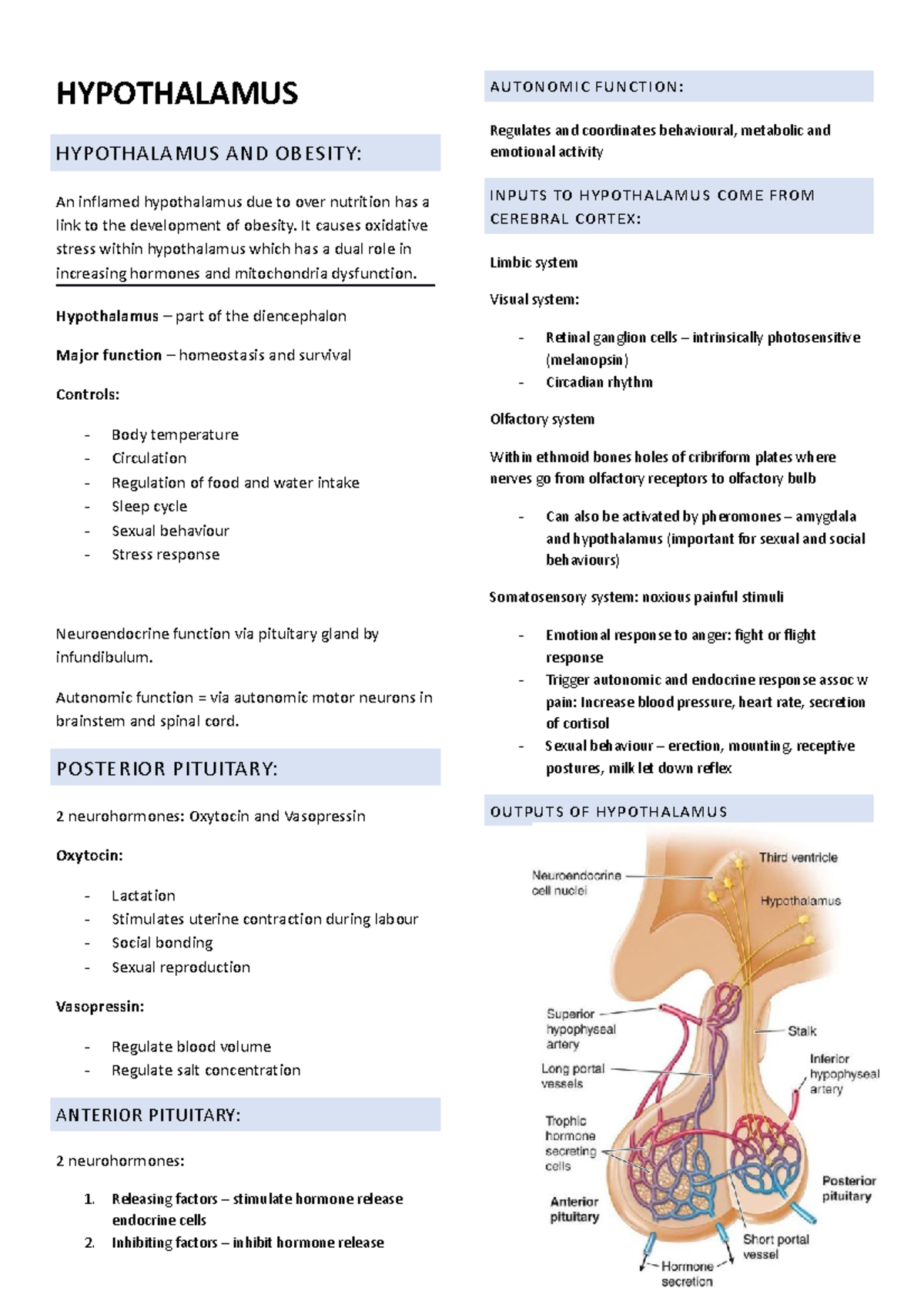 Hypothalamus - notes - HYPOTHALAMUS HYPOTHALAMUS AND OBESITY: An ...