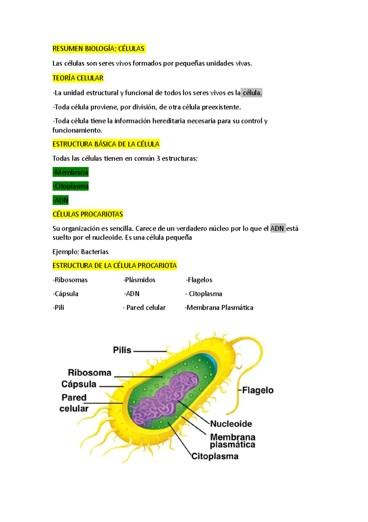 Resumen Biología Celulas - RESUMEN BIOLOGÍA; CÉLULAS Las células son seres vivos formados por ...