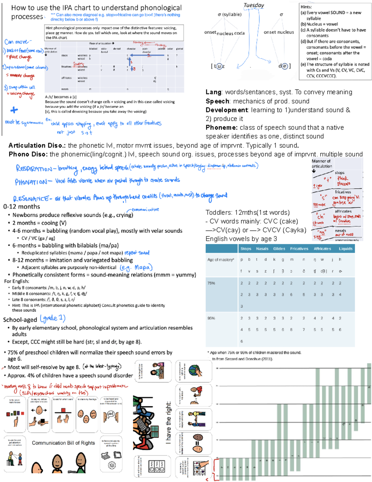 LING Cheat Sheet #2 - Summary Communication Disorders I - L Lang: words ...