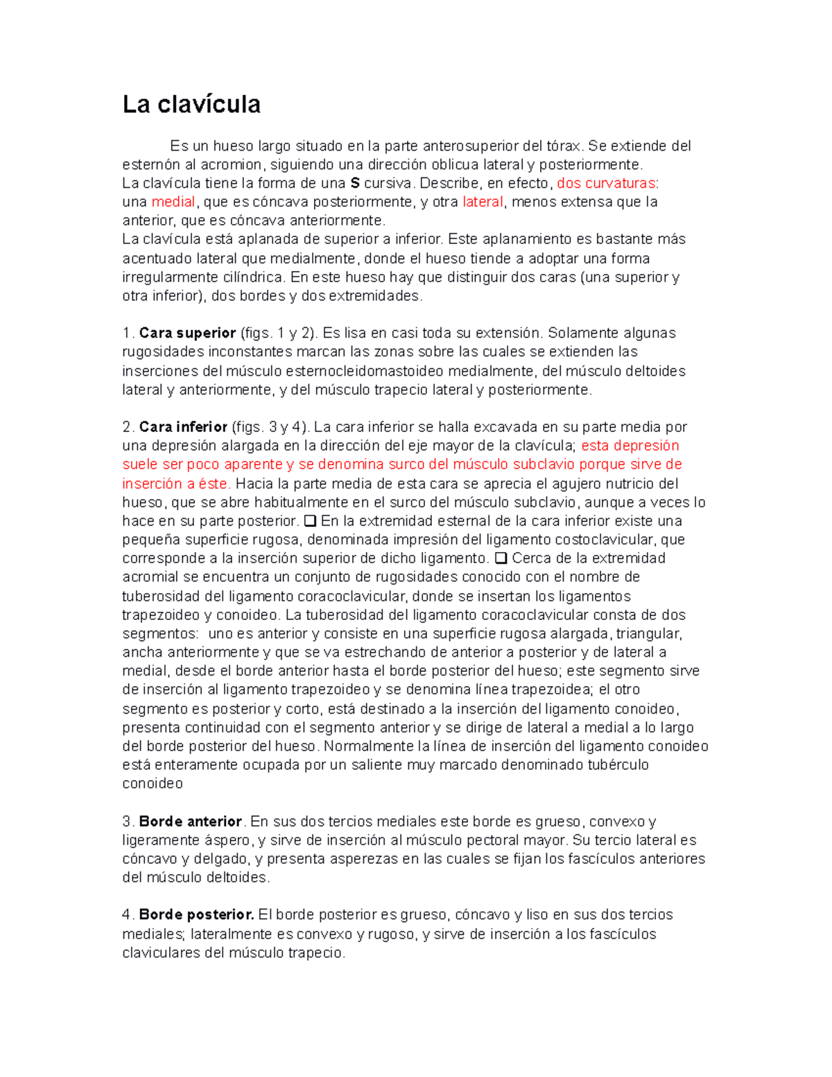 427856851 Clavicula rouviere resumen del libro de rouviere delmas ...