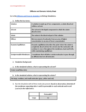 Photosynthesis Simulation activity sheet - Photosynthesis Simulation ...