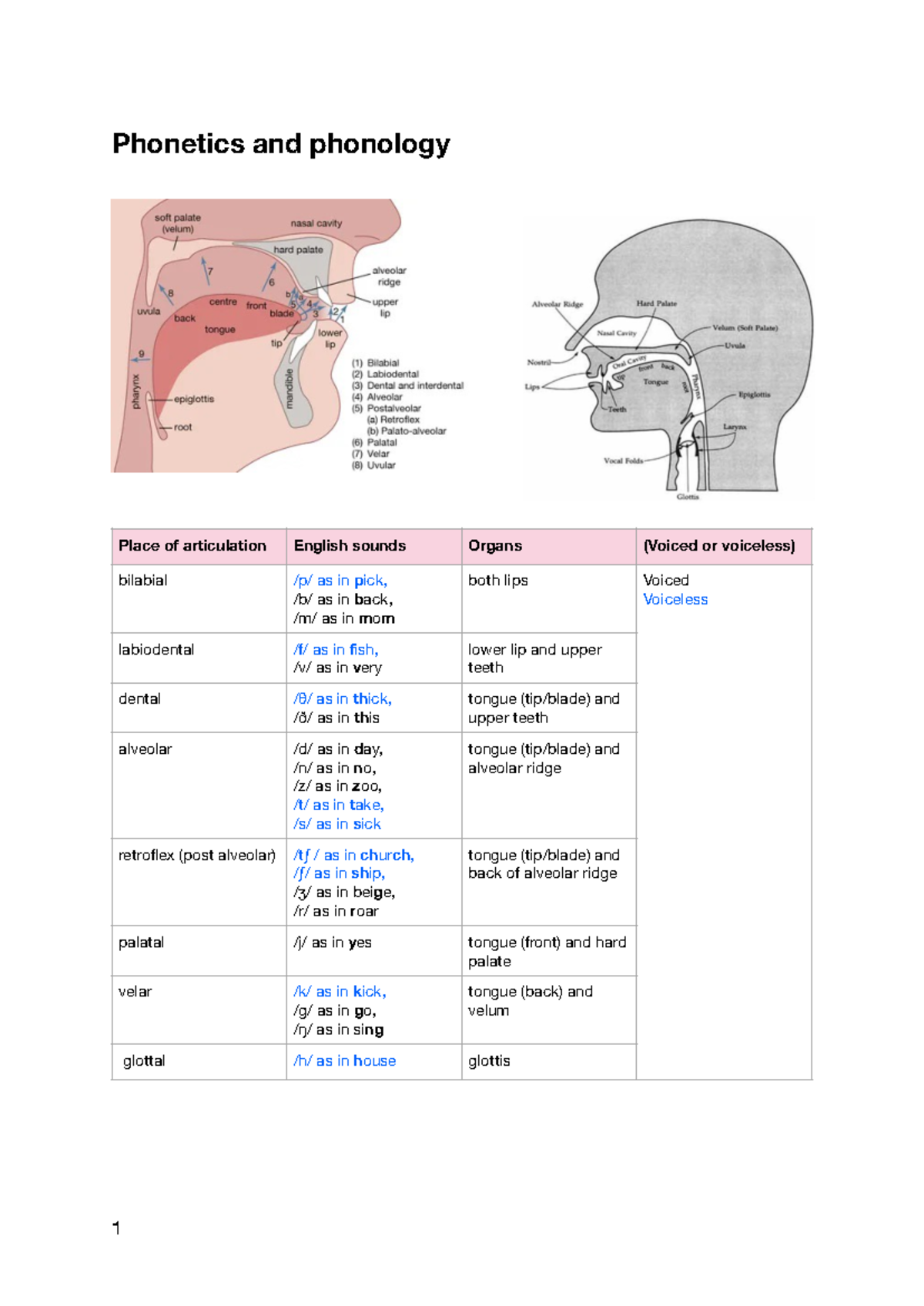 PH&PH Articulation - Phonetics - Phonetics and phonology Place of ...
