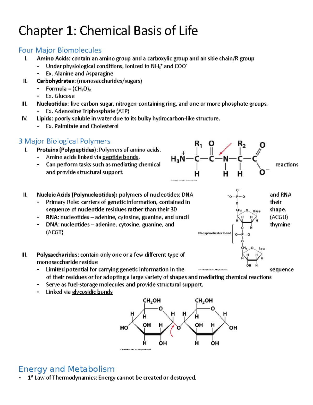 Biochemistry Review - Chapter 1: Chemical Basis of Life Four Major ...