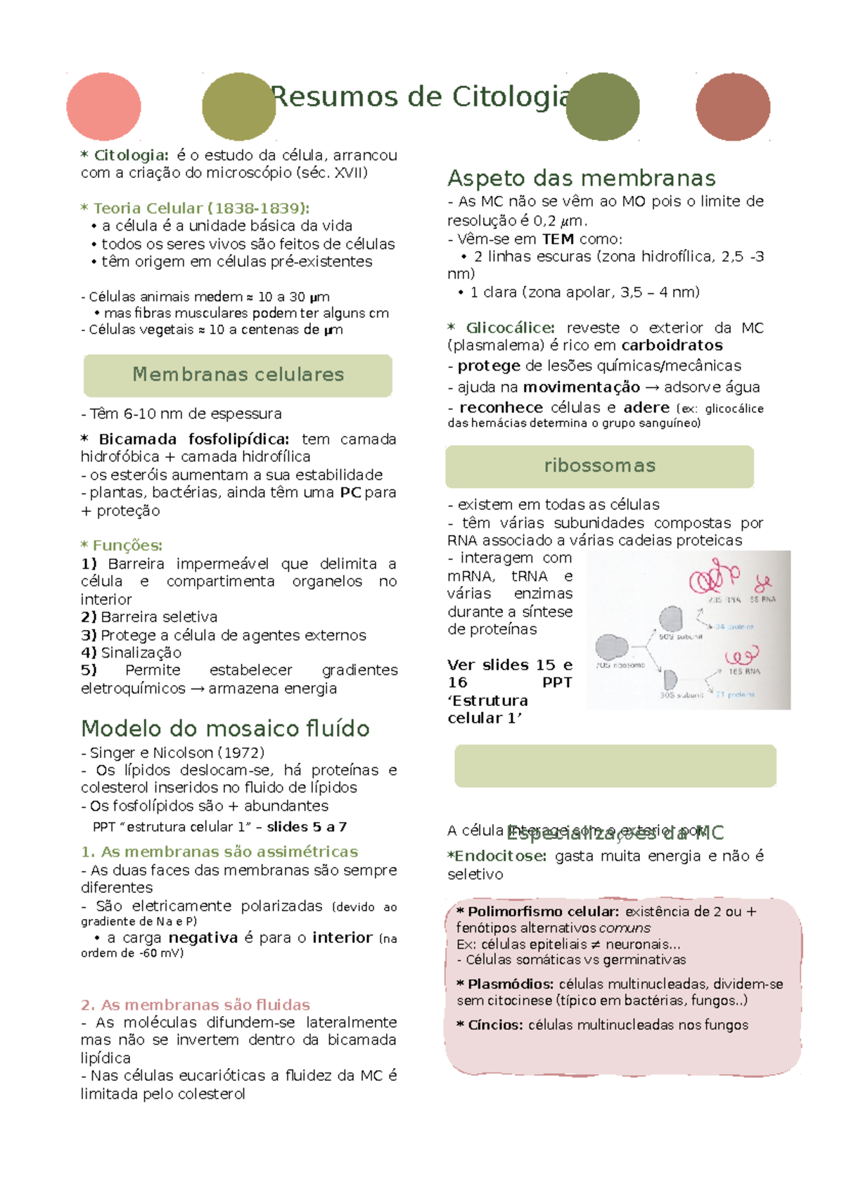 Resumo - Citologia - Resumos de Citologia Citologia: é o estudo da ...