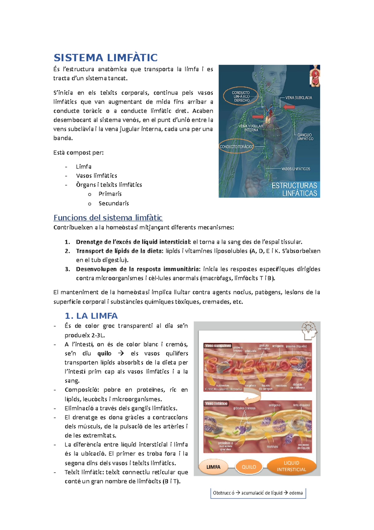 Sistema Limfàtic - SISTEMA LIMFÀTIC És l’estructura anatòmica que ...