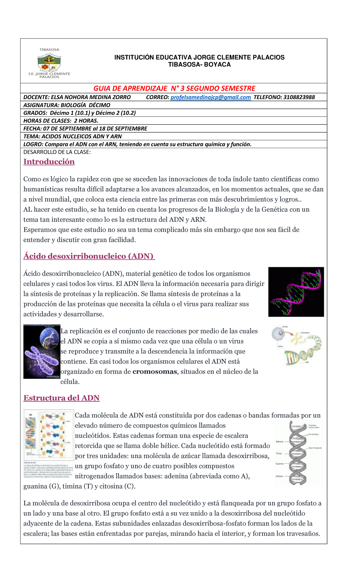 Comprension Lectora ADN Y ARN Biología Décimo - INSTITUCIÓN EDUCATIVA ...