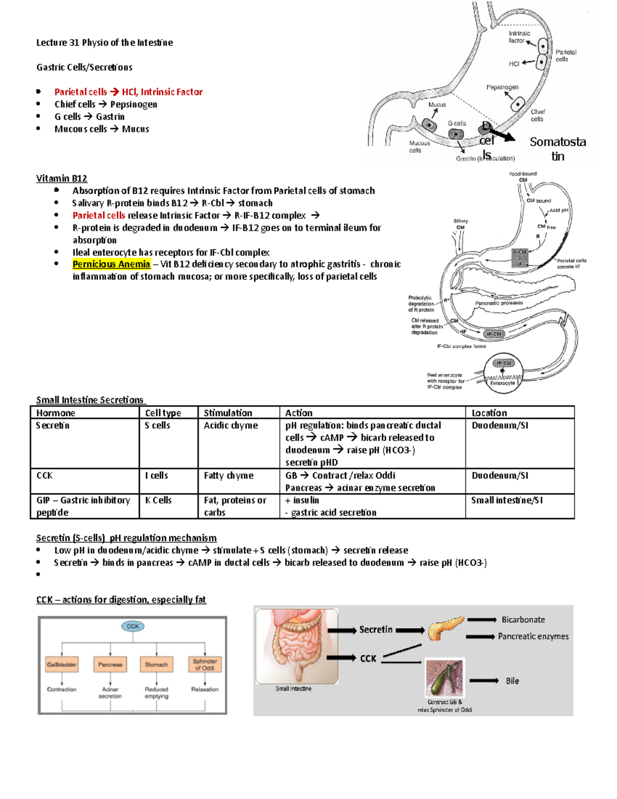 Physiology of the GI Tract - cell types, excretions, regulatory factors ...